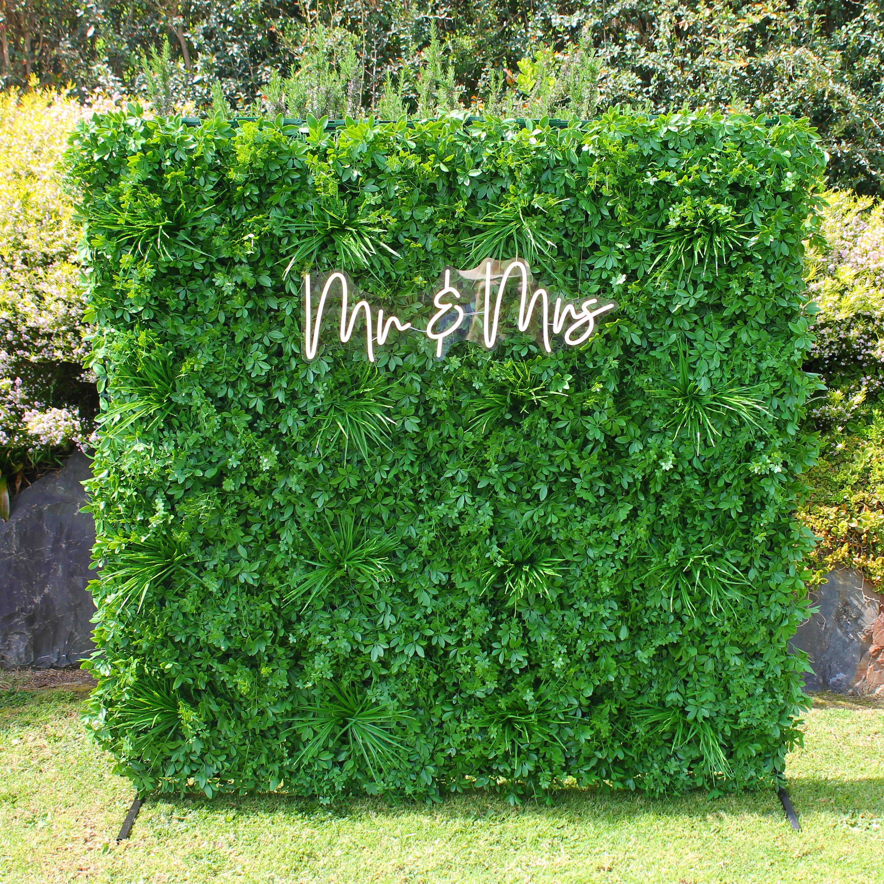 Backdrops – It's Party Time